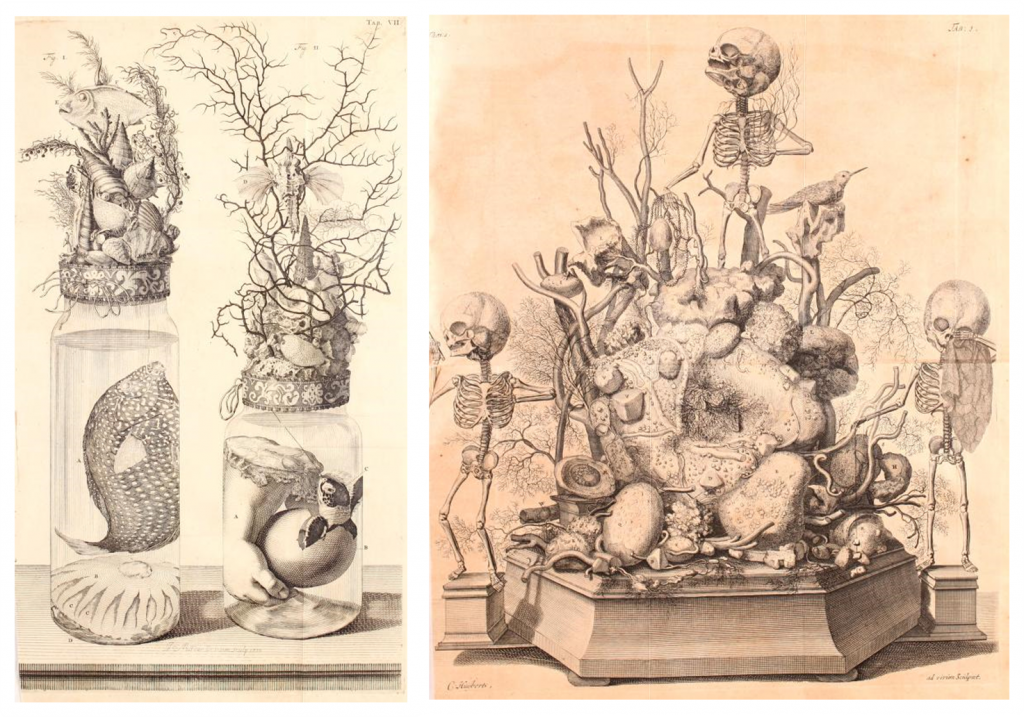 Medical Illustrators and Illustrations in the HS/HSL’s Historical ...